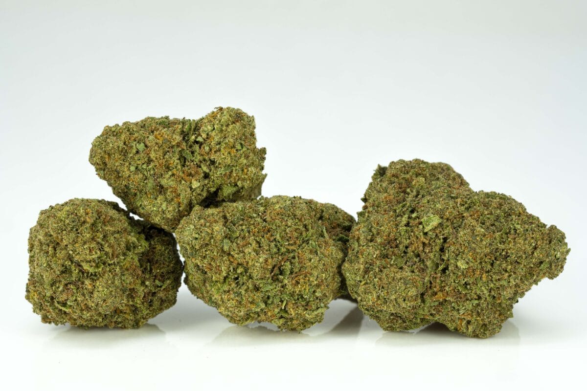 Sunny Skittles – Uplifting Hybrid for Social Energy
