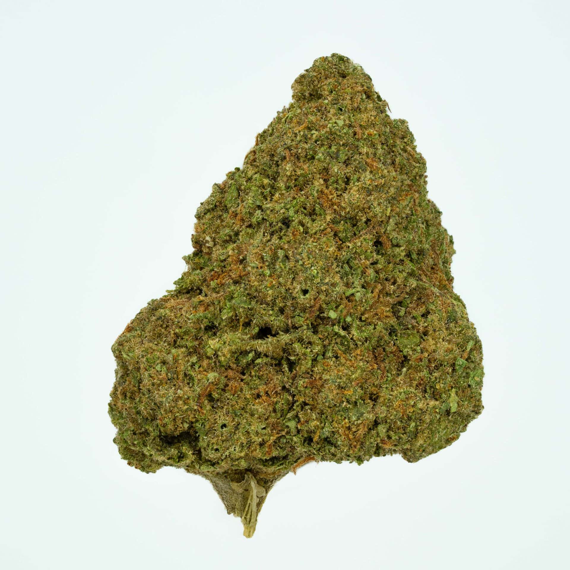 Sunny Skittles – Uplifting Hybrid for Social Energy