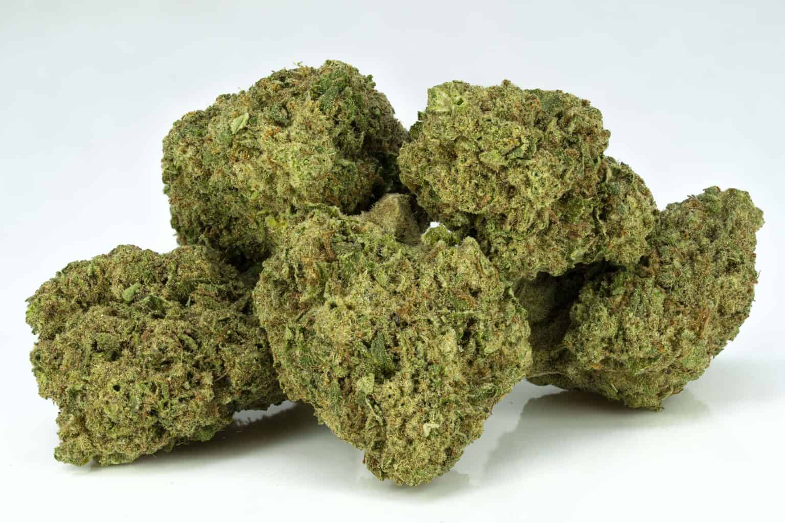 Sour Magic – Smooth, Heady THCa Flower with Kush Aroma