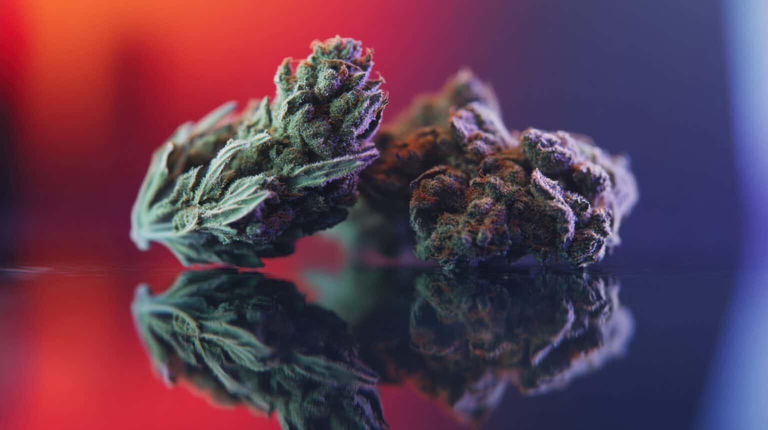 THCa vs Delta 9 vs Delta 8: Key Differences Explained (2026)